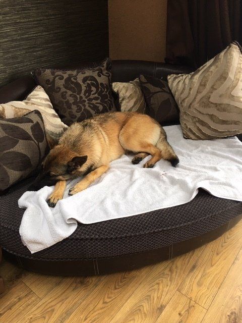 Bewsey Lodge Academy - Missing all the children at school